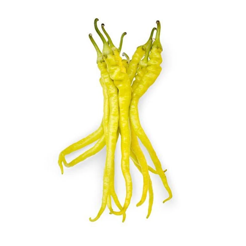 Ardei Csipos Spiral F1, Royal Sluis, 1000 seminte @ AGRICULTURA IEFTINA